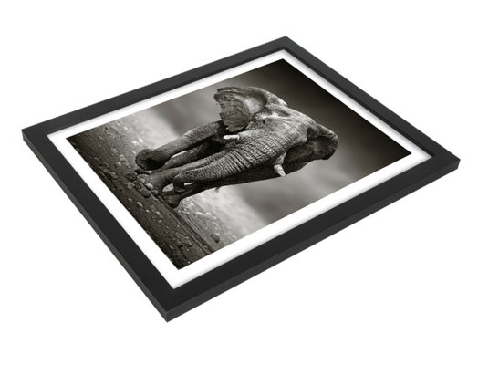 Wooden Photo Frames,European style elephant MDF photo picture frames A4 picture photo frame