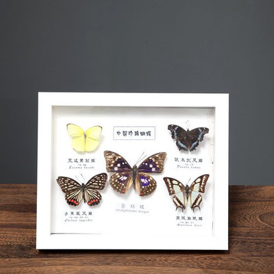 Customized 6/7/8/10/12/16/A3/A4 inch box photo frames, PS material 3D photo frame