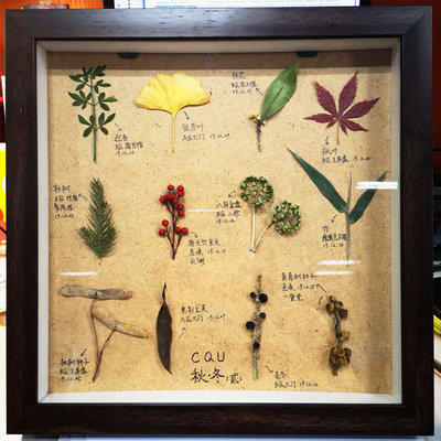 Large size MDF wall hanging white shadow box frames wholesale made in China