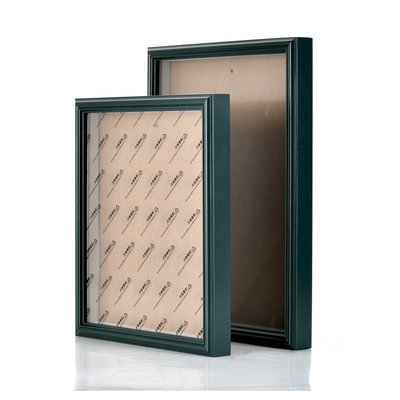 Modern Style Double Sided Glass Photo Frame Flower Plant Portrait Display Frame small hanging photo frames