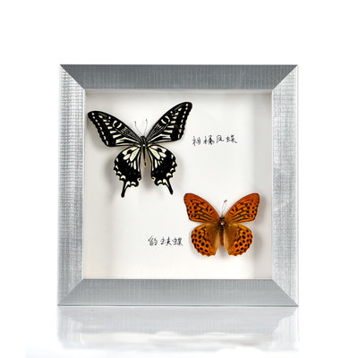 China factory square solid wood shadow box frame for butterfly marcos 3d molduras para fotos