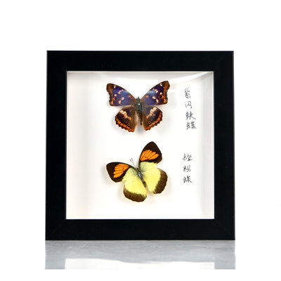 China factory square solid wood shadow box frame for butterfly marcos 3d molduras para fotos