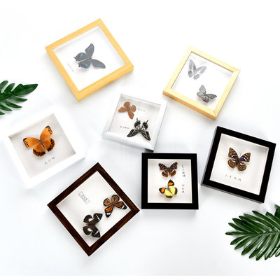 China factory square solid wood shadow box frame for butterfly marcos 3d molduras para fotos