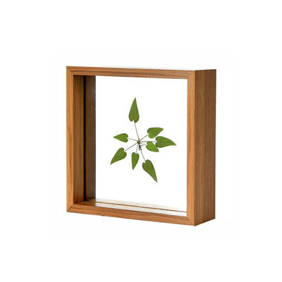 Modern Style Double Sided Glass Photo Frame Flower Plant Portrait Display Frame Holder molduras para fotos