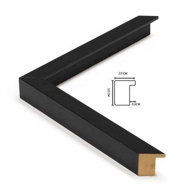Modern Style Double Sided Glass Photo Frame Flower Plant Portrait Display Frame Holder photo multi photo frames
