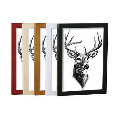 Modern Style Double Sided Glass Photo Frame Flower Plant Portrait Display Frame Holder photo multi photo frames