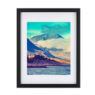 Modern Style Double Sided Glass Photo Frame Flower Plant Portrait Display Frame Holder photo multi photo frames