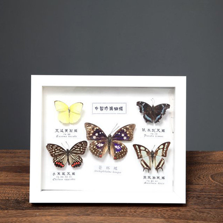 Customized 6/7/8/10/12/16/A3/A4 inch box photo frames, PS material 3D photo frame
