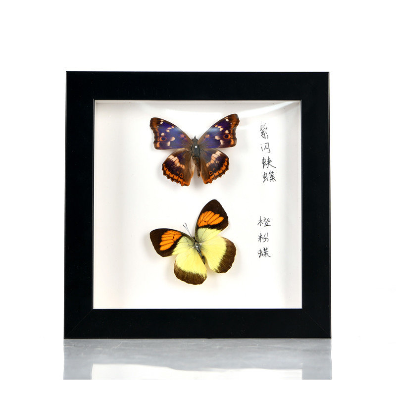 China square solid wood shadow box frame for butterfly marcos 3d molduras para fotos