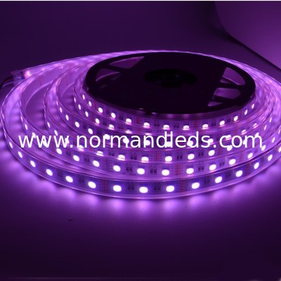 DC12V 5m Led Strip 5050 SMDRGBW RGBWW 4 Colors in 1 Chip Led Flexible strip Light RGB + White / Warm White