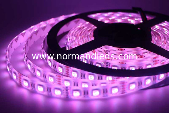 Color Changing Non-Waterproof 5050 4IN1 RGBW LED ribbon SMD RGBWW 4 colors led Stripe RGBNW 5M/reel DC24V