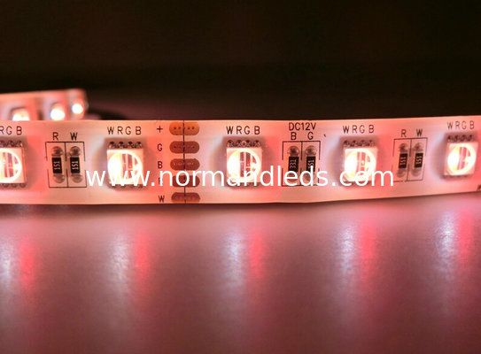 5m 5050 RGBW Led Strip DC 12V 24V RGBW RGBWW 4in1 Led Strip Light Chip IP65 Waterproof 60led/m home decoration