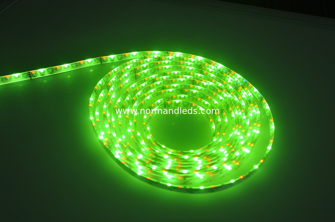 Factory Sales 12V-24V Waterproof LED Strip Light Single Color,Warm White Cool White, RGB