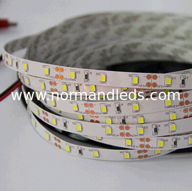 DC12/24V 14.4W/M SMD2835 led light strip / christmas led strip light outdoor use