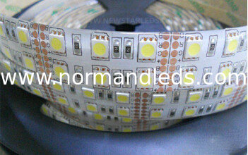 white color 5050 120leds/m ip65 silicon rubber double row led strip