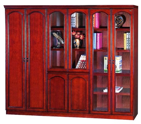 China sell filing cabinet,document cabinet,#C10 supplier