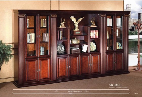 China sell filing cabinet,document cabinet,#C53 supplier