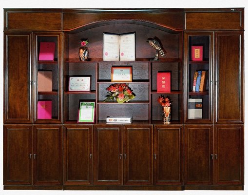 China sell 8 door filing cabinet,document cabinet,#C29 supplier