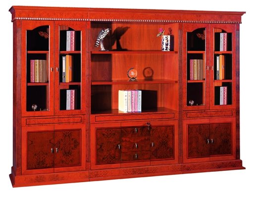 China sell filing cabinet,document cabinet,#C52 supplier
