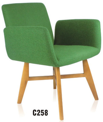 China North Europe style home lounge leisure arm chair furniture supplier