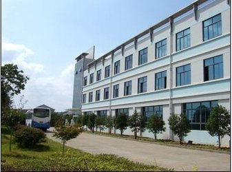 Shenzhen Autodiag Technology Co.,Limited