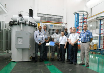 Pearl Electric Co.,Ltd.