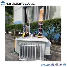 Distribution & Power Transformers to meet latest international standards like  IEC, KEMA