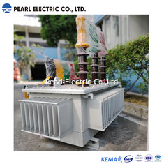 oil-immersed transformer with Low Loss of CRGO M-4 Grade  core material
