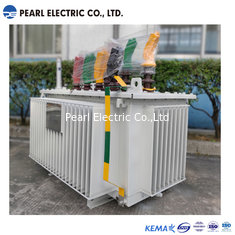 Distribution Transformers with oil cooled way up to 3150 kva