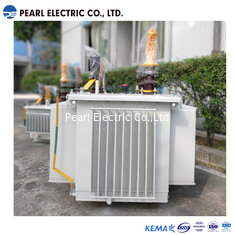 Distribution Transformers with OLTC in oil tank for cooling