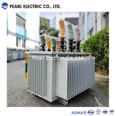 ELECTRIC POWER TRANSFORMER supplied to malaysia