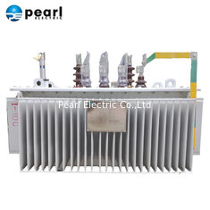 800 Kva 11kv Oil Immersed Power Distribution Transformer With Gas Relay