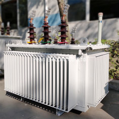 Electric Power System Oil Immersed Transformer 250kVA 11-0.4kV 4%-6% Impedence