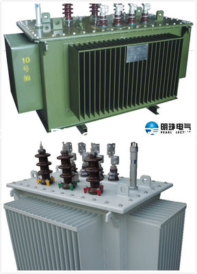 6.6kV - 800 KVA Oil Immersed Transformer Safety Low Loss Step Up Transformer