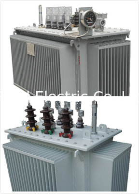 35kV - 100 KVA Oil Immersed Transformer DYN11 Compact Transformer Substation