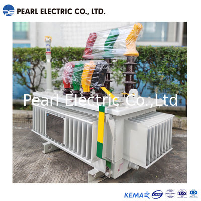 Low Loss Amorphous Alloy Transformer In Oil Immersed Type Explosion Proof