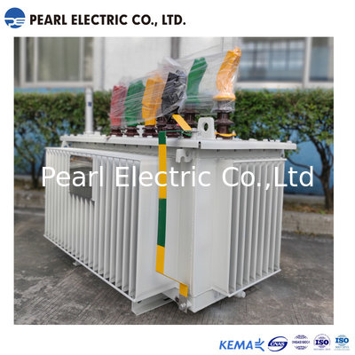 Distribution Transformers with oil cooled way up to 3150 kva