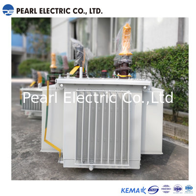 Distribution Transformers with OLTC in oil tank for cooling