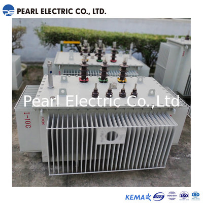 100 KVA 11-6.6/0.4 kV Pole Mounted Type Transformer