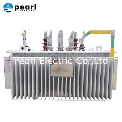 800 Kva 11kv Oil Immersed Power Distribution Transformer With Gas Relay
