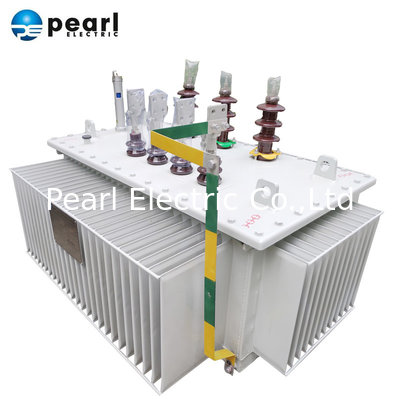 800 Kva 11kv Oil Immersed Power Distribution Transformer With Gas Relay