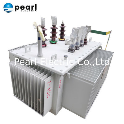 800 Kva 11kv Oil Immersed Power Distribution Transformer With Gas Relay