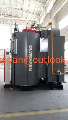 High Efficiency Energy-saving 2Ton/hr 98% Thermal Efficiency Condensing Steam Boiler