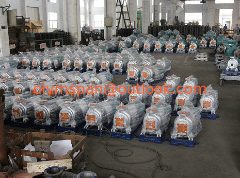 WRY150-125-280A Thermal oil circulating pump
