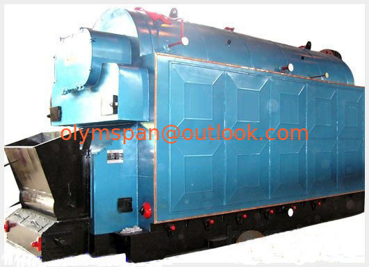Biomass-Fuel DZL Series 1T/h 1.0MPa Steam Boiler