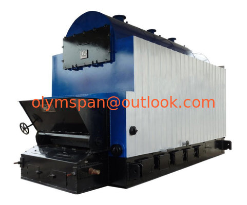 Biomass-Fuel DZL Series 1T/h 1.0MPa Steam Boiler