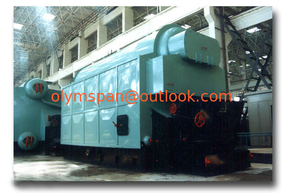 Biomass-Fuel DZL Series 1T/h 1.0MPa Steam Boiler
