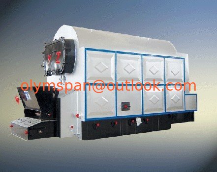 Biomass-fuel DZL Series 0.7MW 0.7MPa Hot Water Boiler