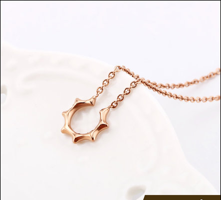 SS10017