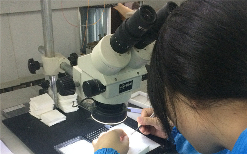 Wuhan Seifree Technology Co., Ltd manufacturer production line